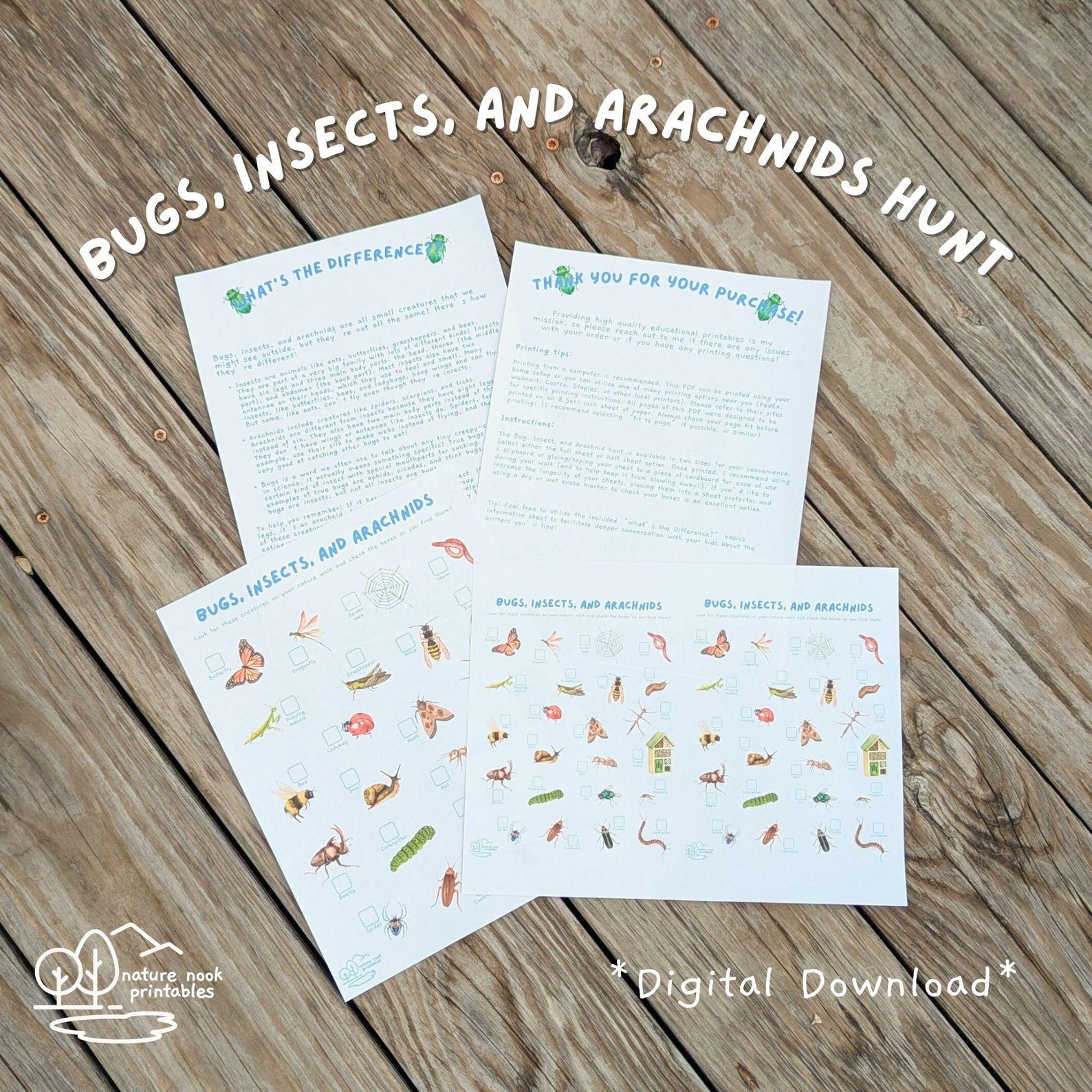 Bug Insect and Arachnid Scavenger Hunt, Printable Camping Games ...