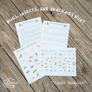 Bug Insect and Arachnid Scavenger Hunt, Printable Camping Games ...