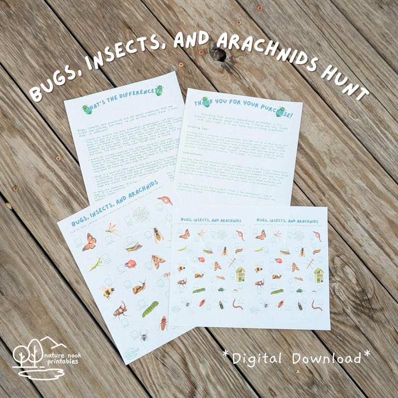 Bug Insect and Arachnid Scavenger Hunt, Printable Camping Games ...