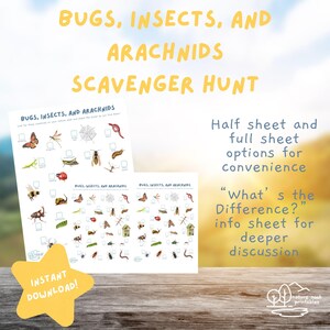 Bug Insect and Arachnid Scavenger Hunt, Printable Camping Games ...
