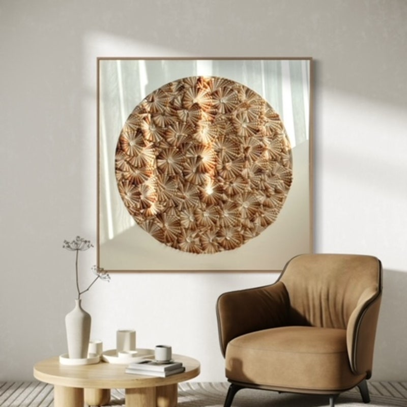 Sea Shell Wall Art - Etsy