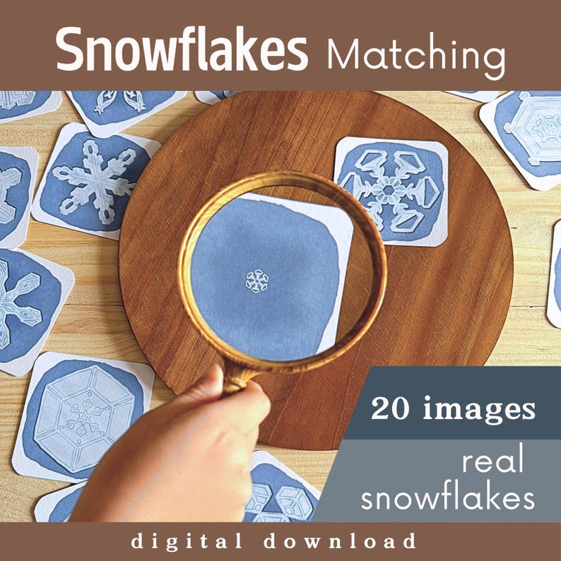 Snowflake Matching Activity Cards | Winter Unit Study | Preschoolers ...