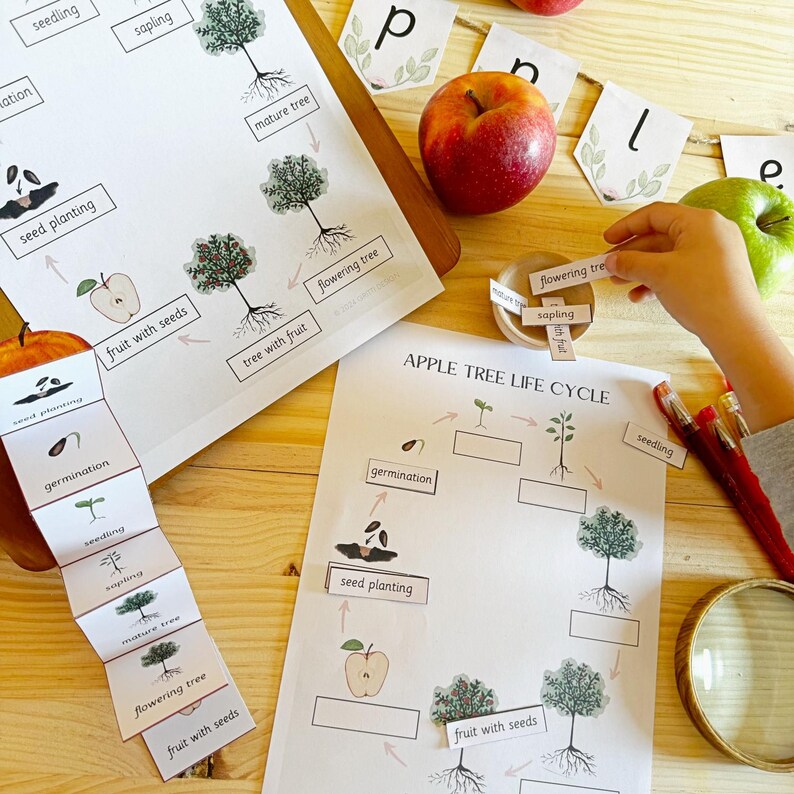 Apples Unit Study Pack | Kids Learning Activities (digital Download) - Etsy