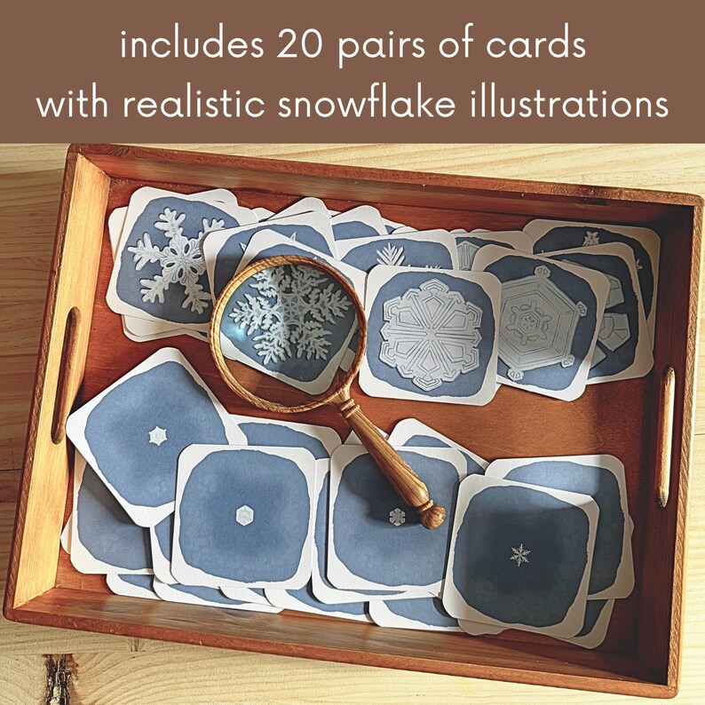 Snowflake Matching Activity Cards | Winter Unit Study | Preschoolers ...