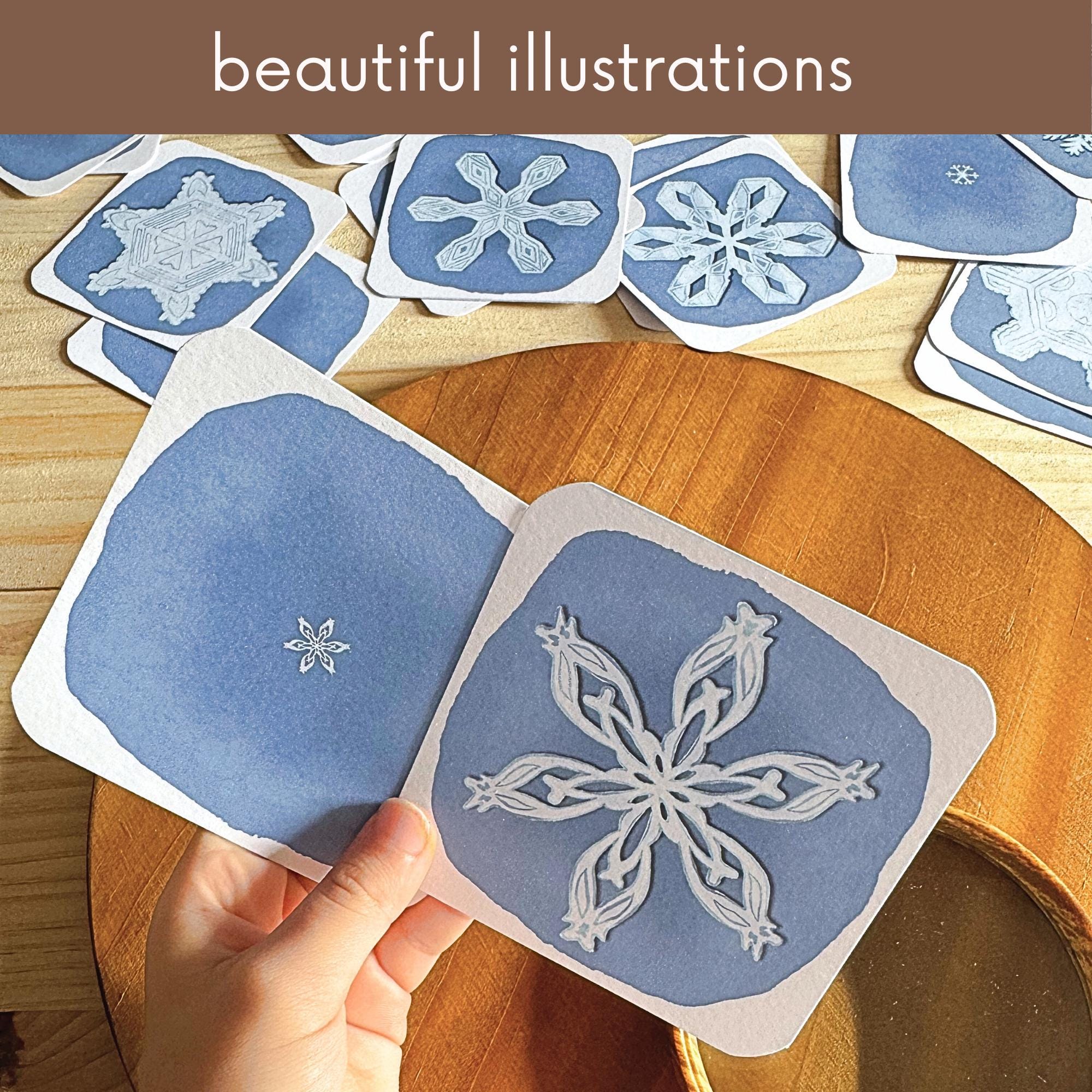 Snowflake Matching Activity Cards | Winter Unit Study | Preschoolers ...