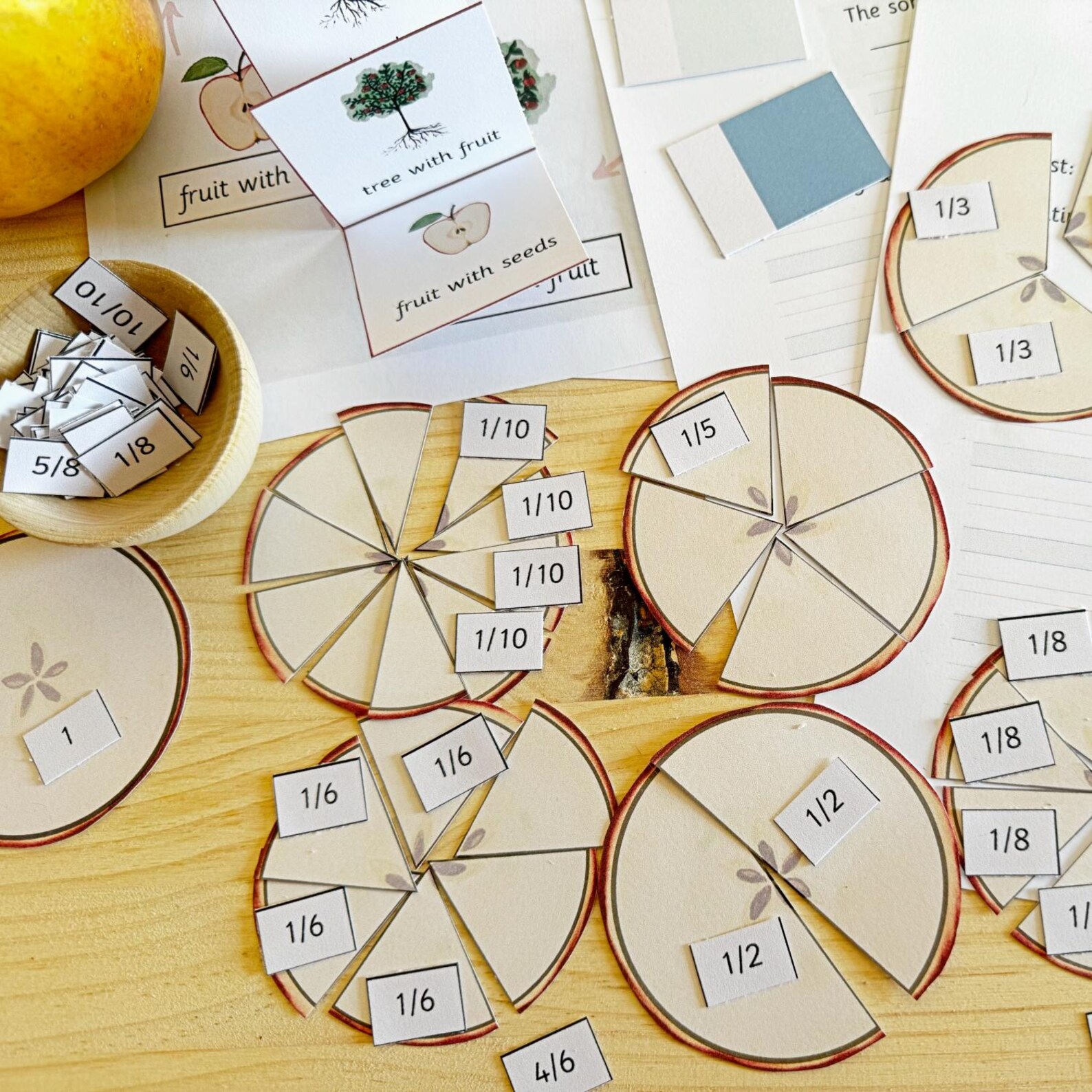 Apples Unit Study Pack | Kids Learning Activities (digital Download) - Etsy