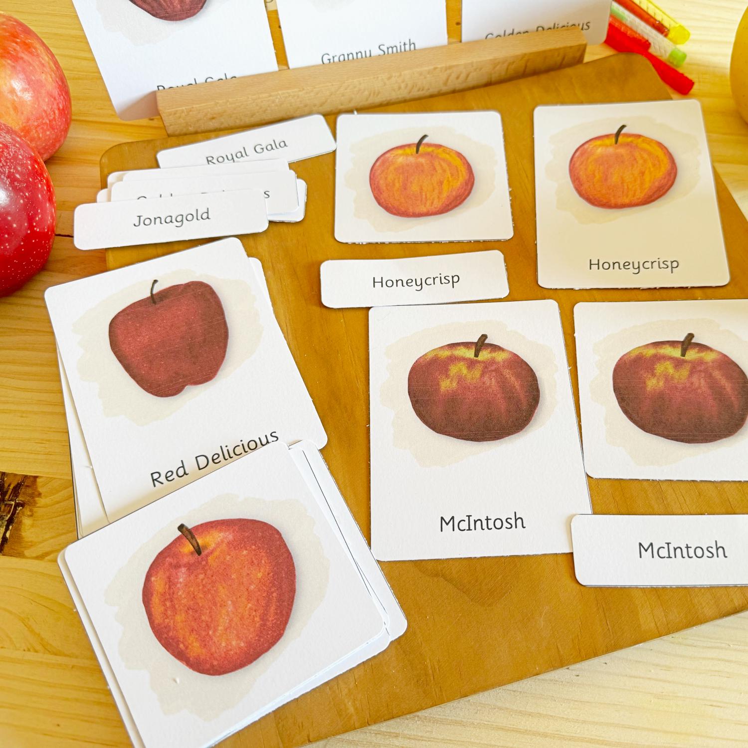 Apples Unit Study Pack | Kids Learning Activities (digital Download) - Etsy