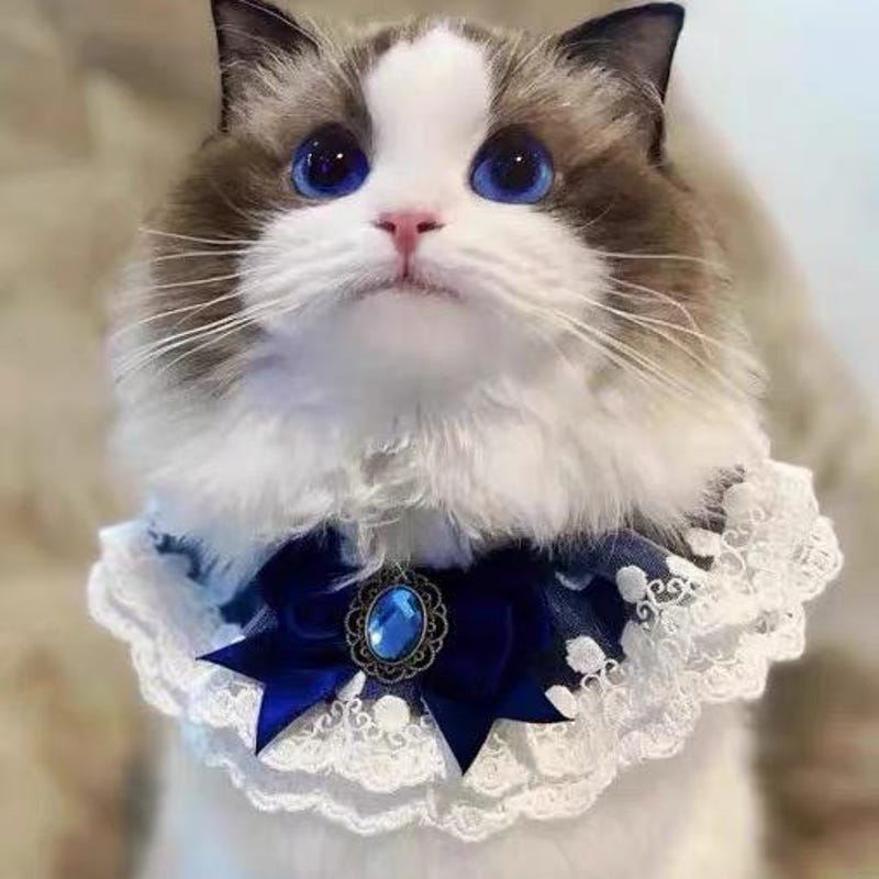 Lace Cat Collar - Etsy