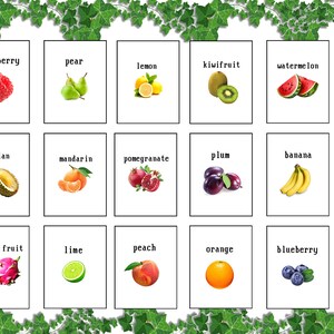 20 Fruits Flashcards | Fruits Flashcard | Montessori Flashcards | Pre ...