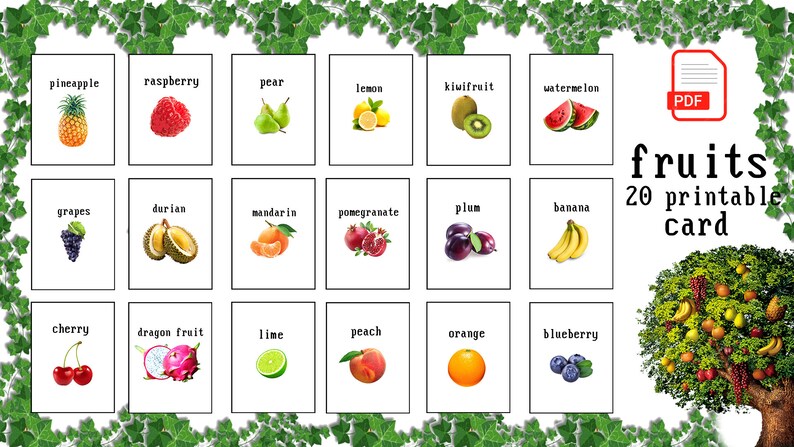20 Fruits Flashcards | Fruits Flashcard | Montessori Flashcards | Pre ...