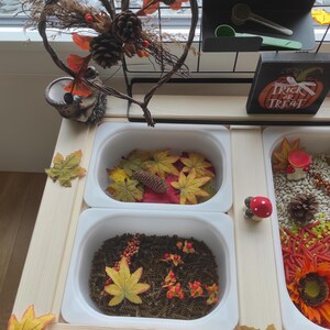 Autumn Sensory Bin Nature Theme leaves, Mushrooms, Pine Cones... - Etsy