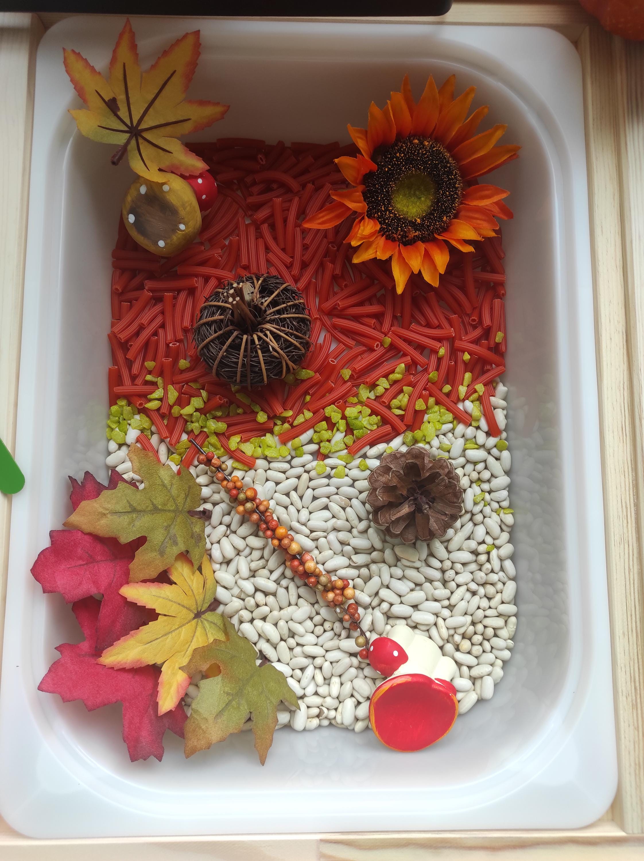 Autumn Sensory Bin Nature Theme leaves, Mushrooms, Pine Cones... - Etsy