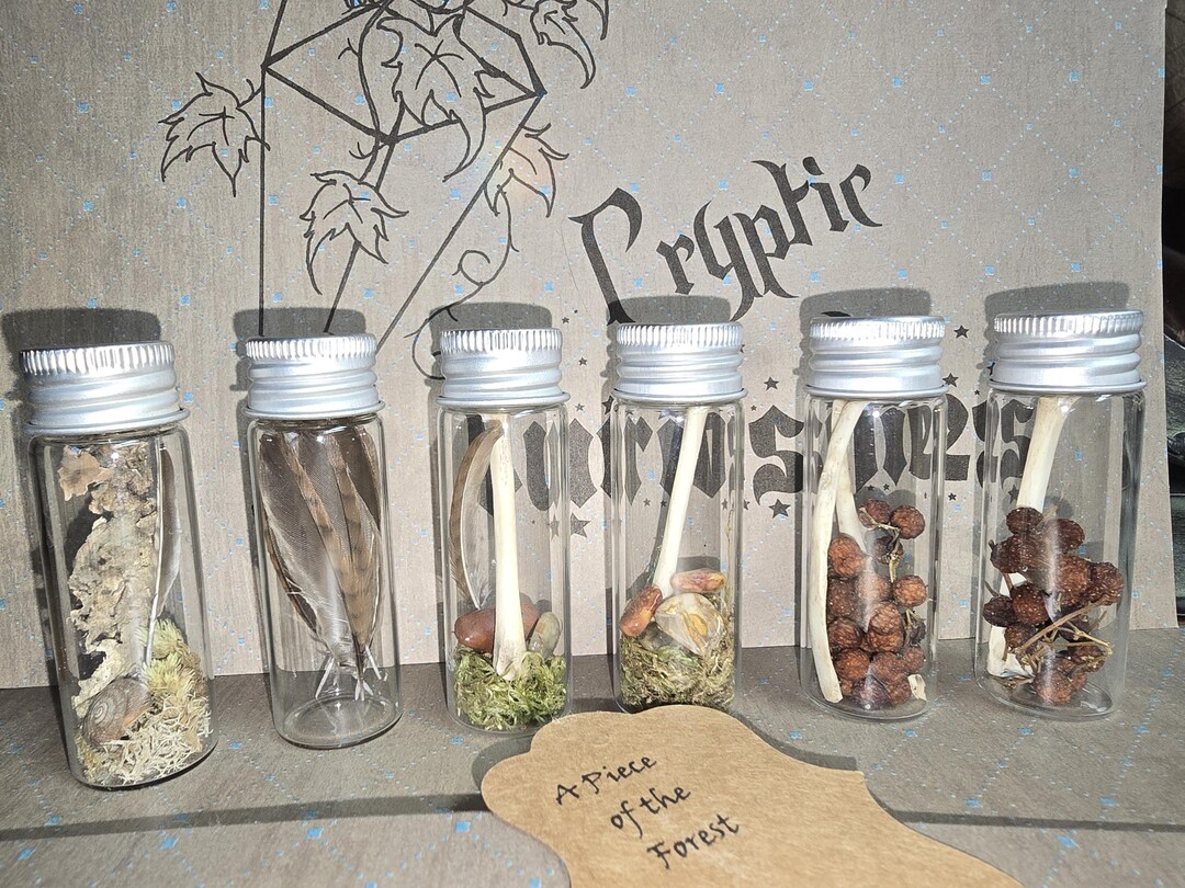 Piece of the Forest - Forest Finds - Nature in a Jar - Etsy