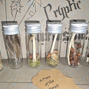 Piece of the Forest - Forest Finds - Nature in a Jar - Etsy