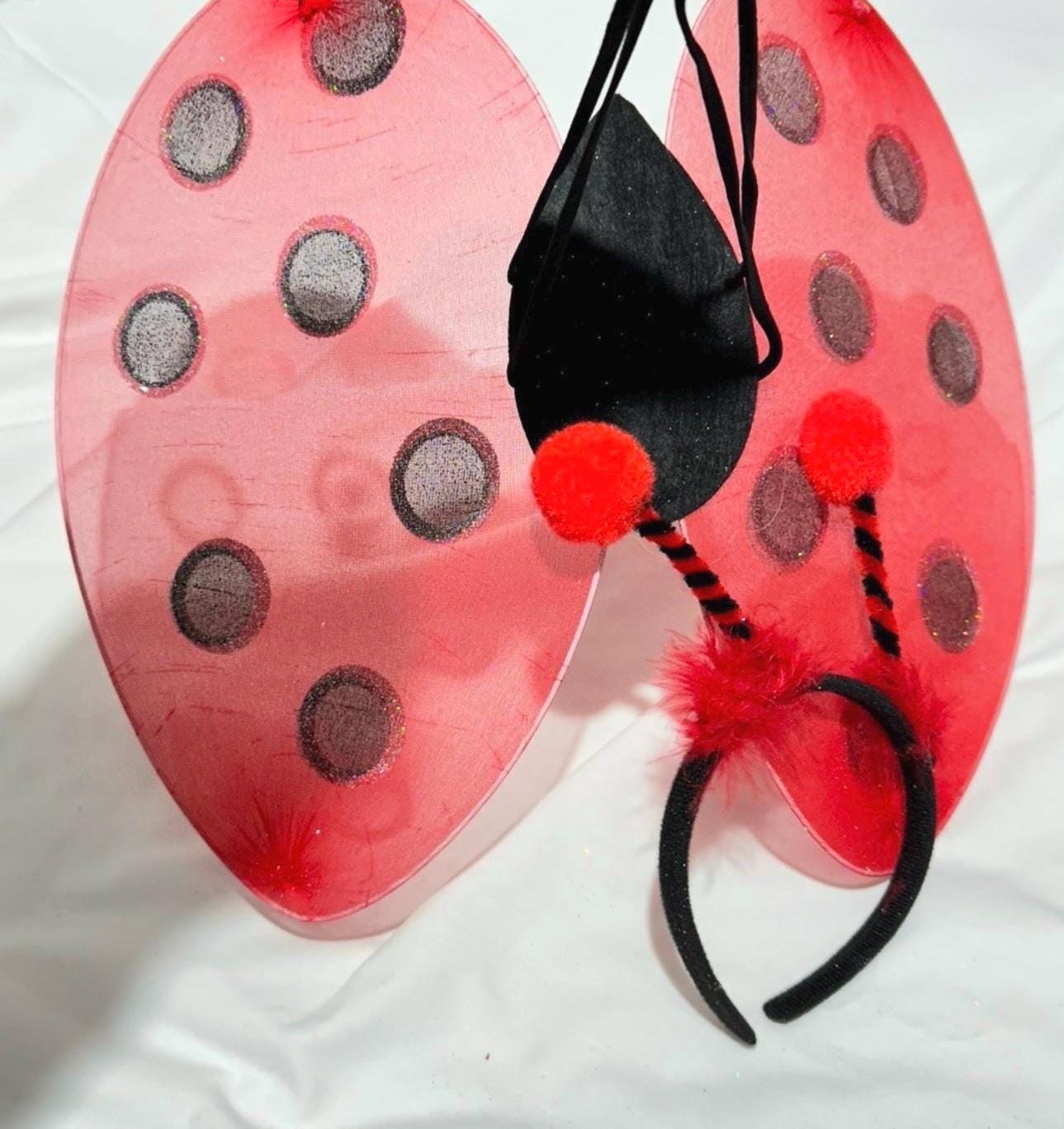 Ladybird Wings and Deeley Bopper Set: Party Fancy Dress - Etsy