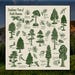 Coniferous Tree Trail Bandana: North American Trees, 100% Cotton - Etsy