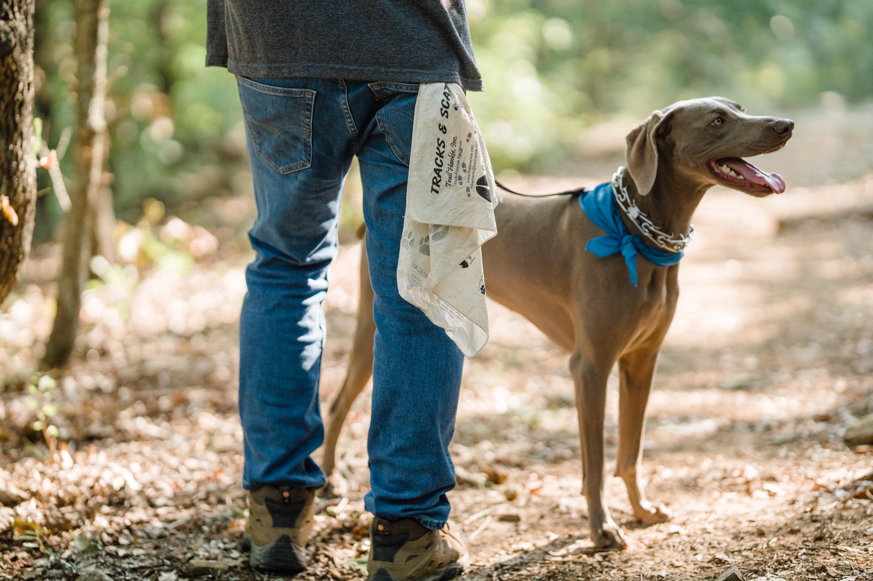 Illinois State Parks Map Bandana: Hiking & Camping Keepsake - Etsy