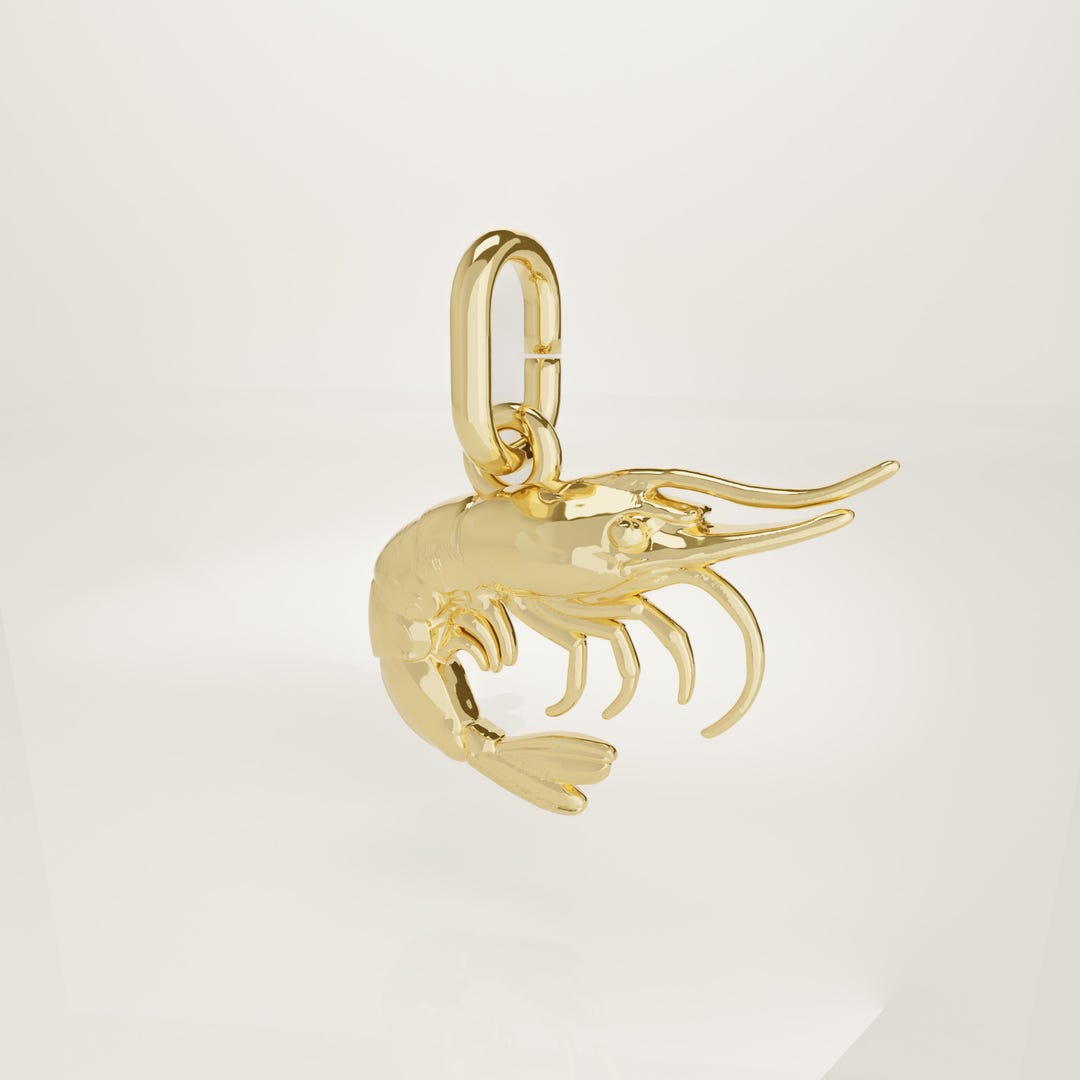 14K Solid Gold Shrimp Charm: Shrimplet Mini Necklace and Bracelet ...