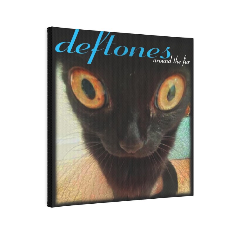 Deftones Around the Purr, Cat Album Cover Parody, Cute Cat Wall Decor ...