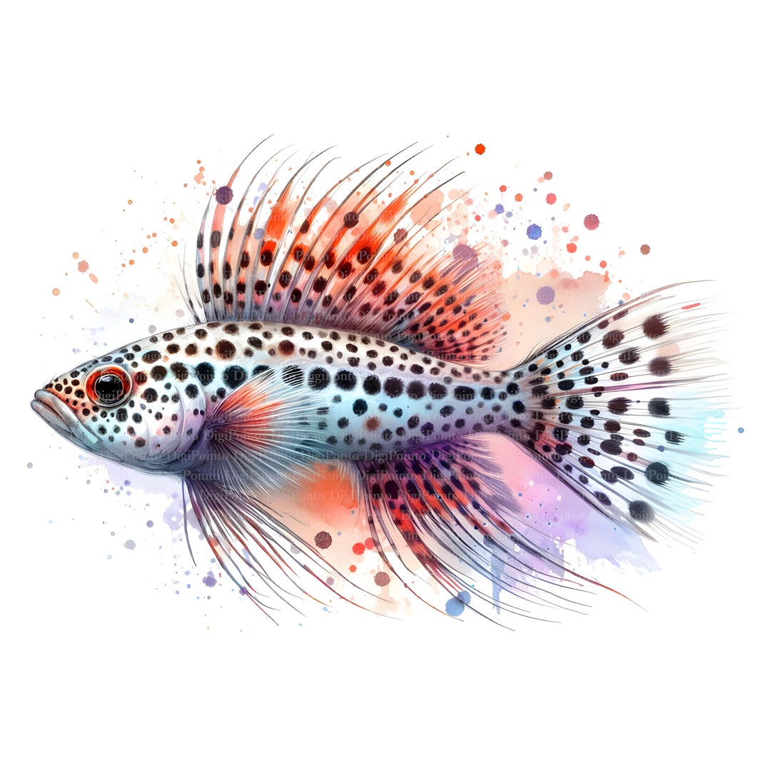 Colorful Fish Splash Clipart, Digital Download, Jpgs Files, Instant ...