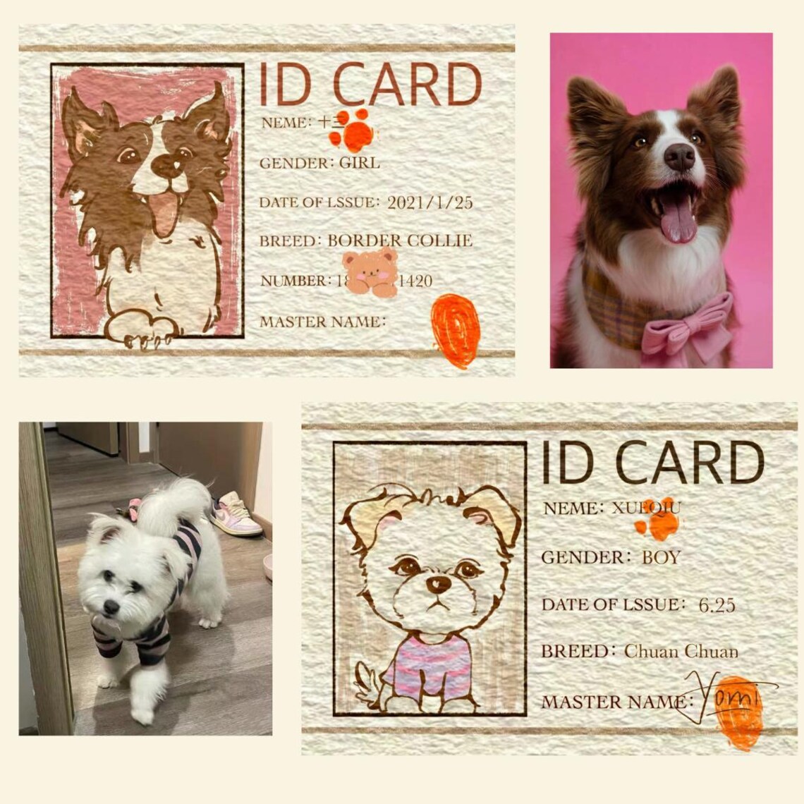 Custom Hand-drawn Pet ID Card Personalized Printable Pet Portrait, Pet ...
