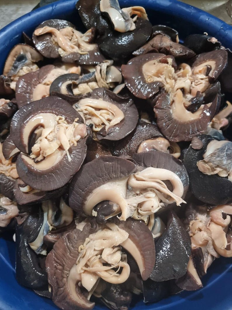 Fresh Jumbo Snail/ready to Cook Snail 5pcs/10pcs/20pcs/pack. Ships Only ...