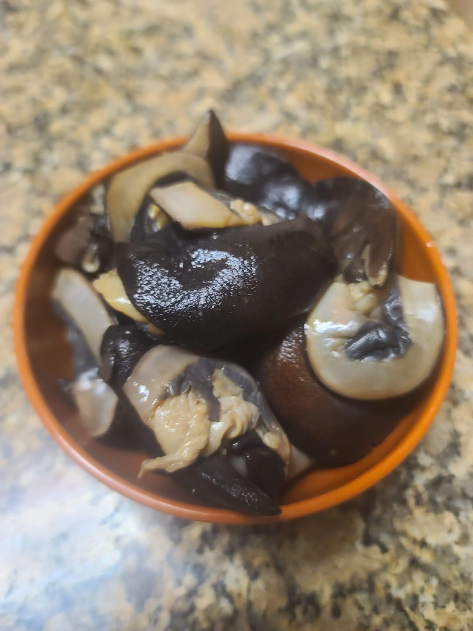 Fresh Jumbo Snail/ready to Cook Snail 5pcs/10pcs/20pcs/pack. Ships Only ...