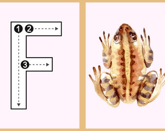 Beginning Sounds Printable Flash Card Game, Clothespin Match Activity ...