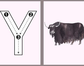 Beginning Sounds Printable Flash Card Game, Clothespin Match Activity ...