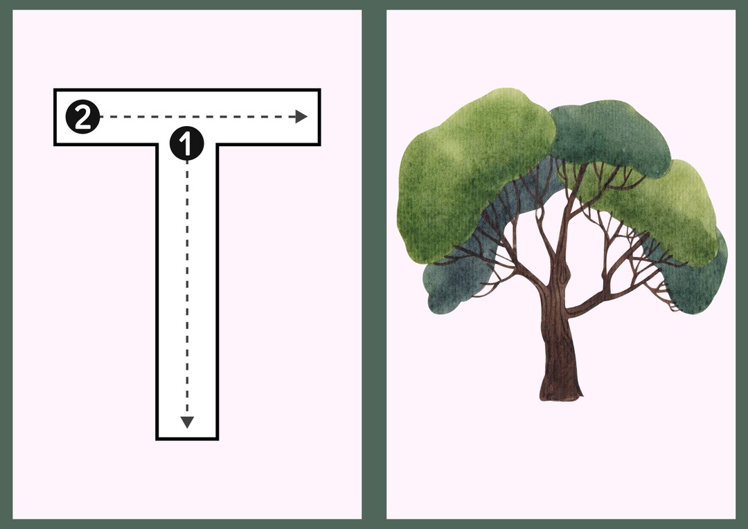 Beginning Sounds Printable Flash Card Game, Traceable Activity, Phonics ...