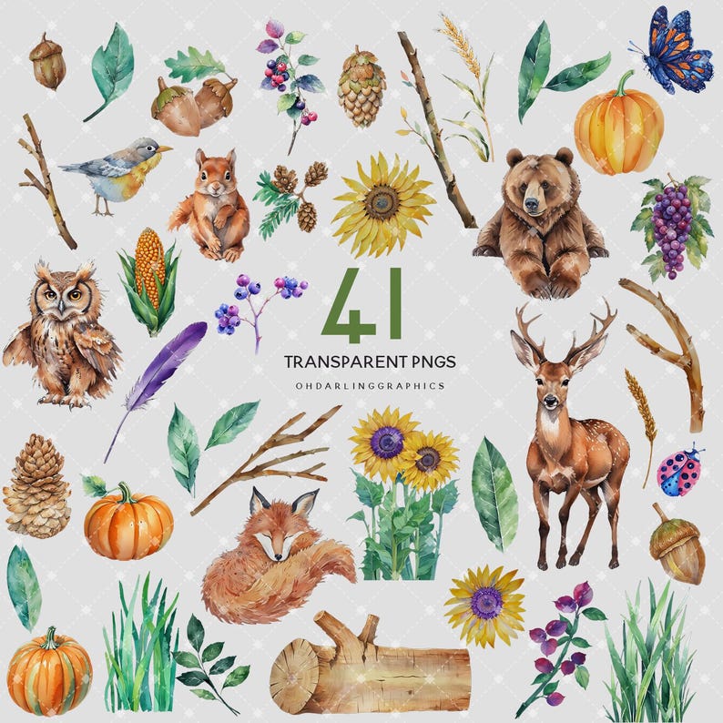 Woodland Animals Clipart, Forest Animals, Fox, Bear, Deer, Owl, DIY ...