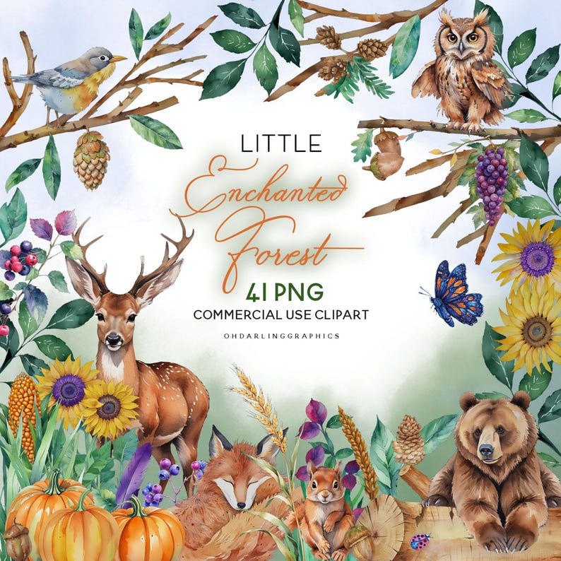 Woodland Animals Clipart, Forest Animals, Fox, Bear, Deer, Owl, DIY ...