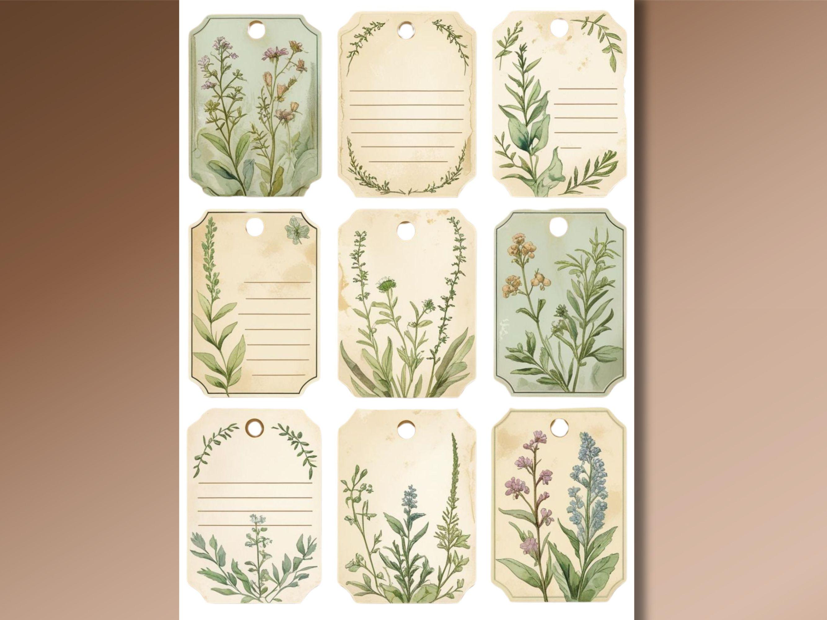 Printable Botanical Labels & Tags: Vintage Style Scrapbooking (A4 PDF ...