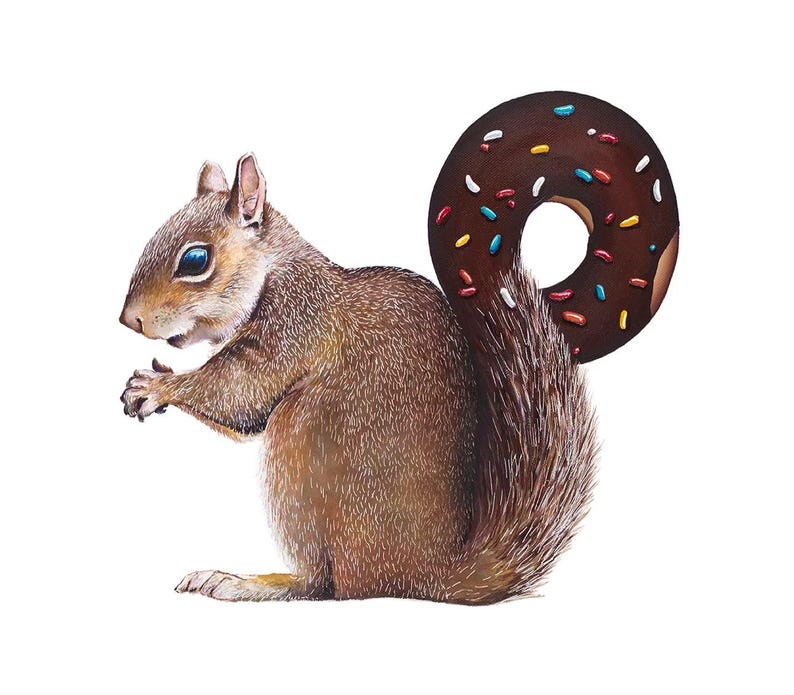 Squirrel With a Donut Tail: Art Print - Etsy
