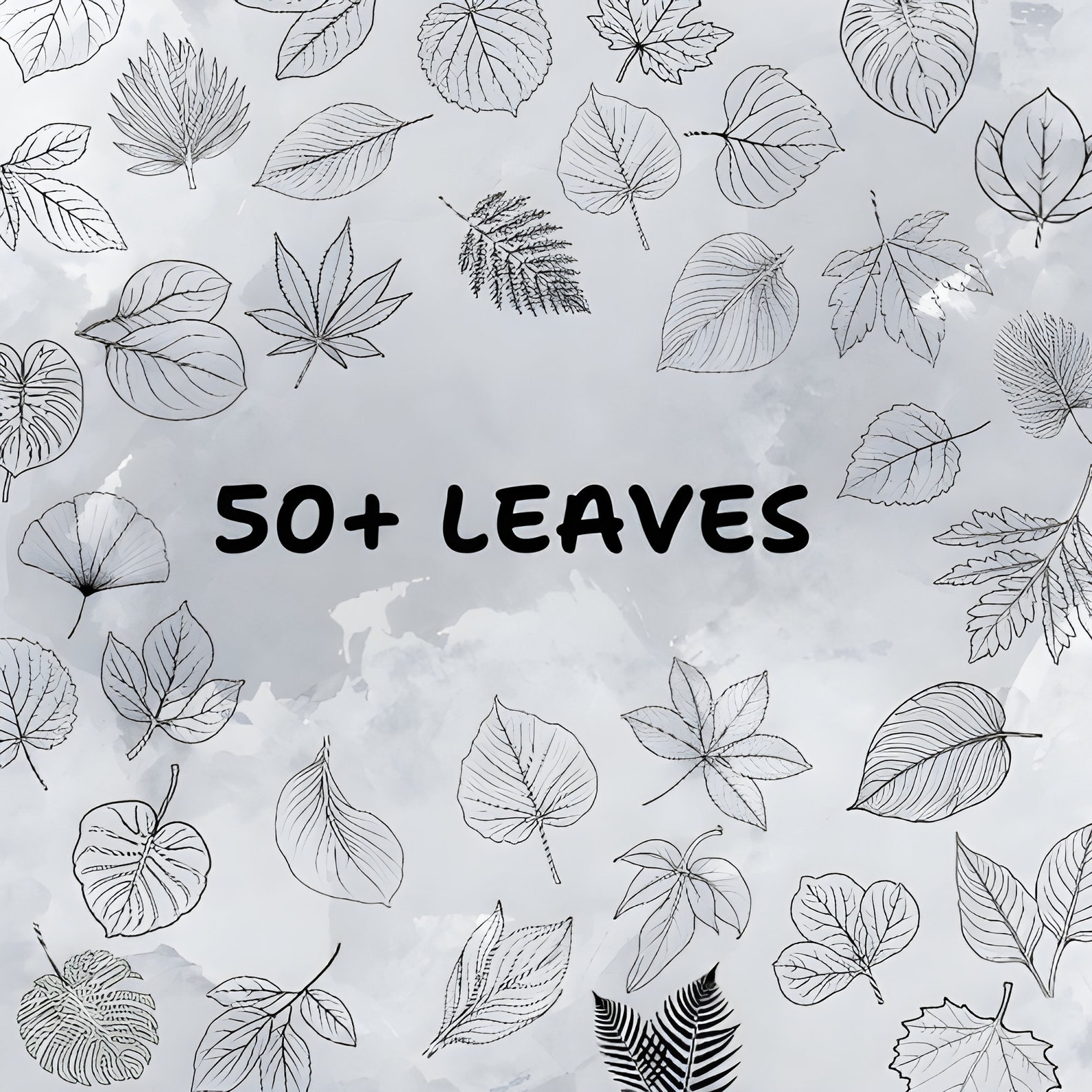 50 Leaves Bundle, Leaf Clipart, Cut Files, Circut Silhouette, Digital ...