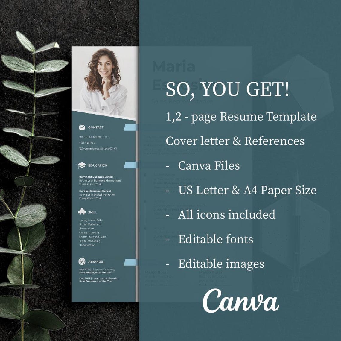 Indeed CV | Professional Resume Template | Reference Template ...