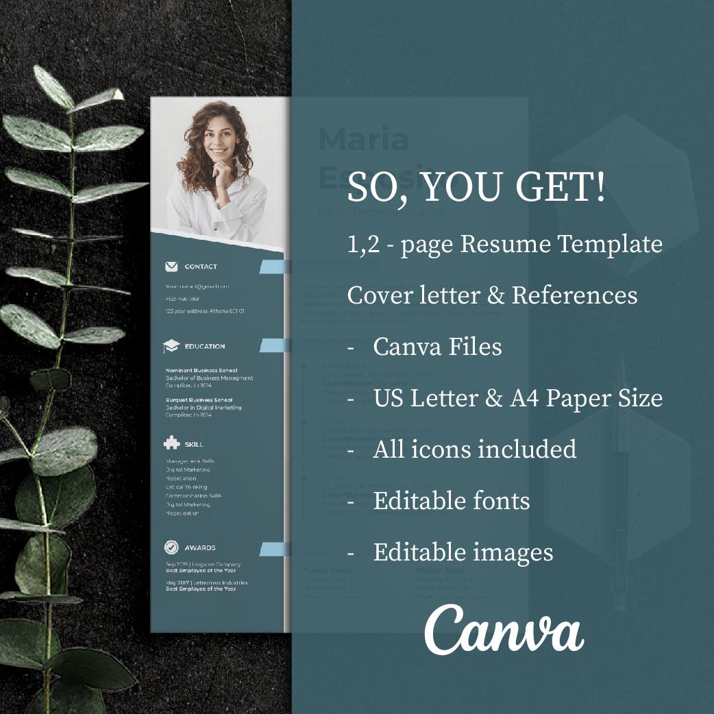 Indeed CV | Professional Resume Template | Reference Template ...