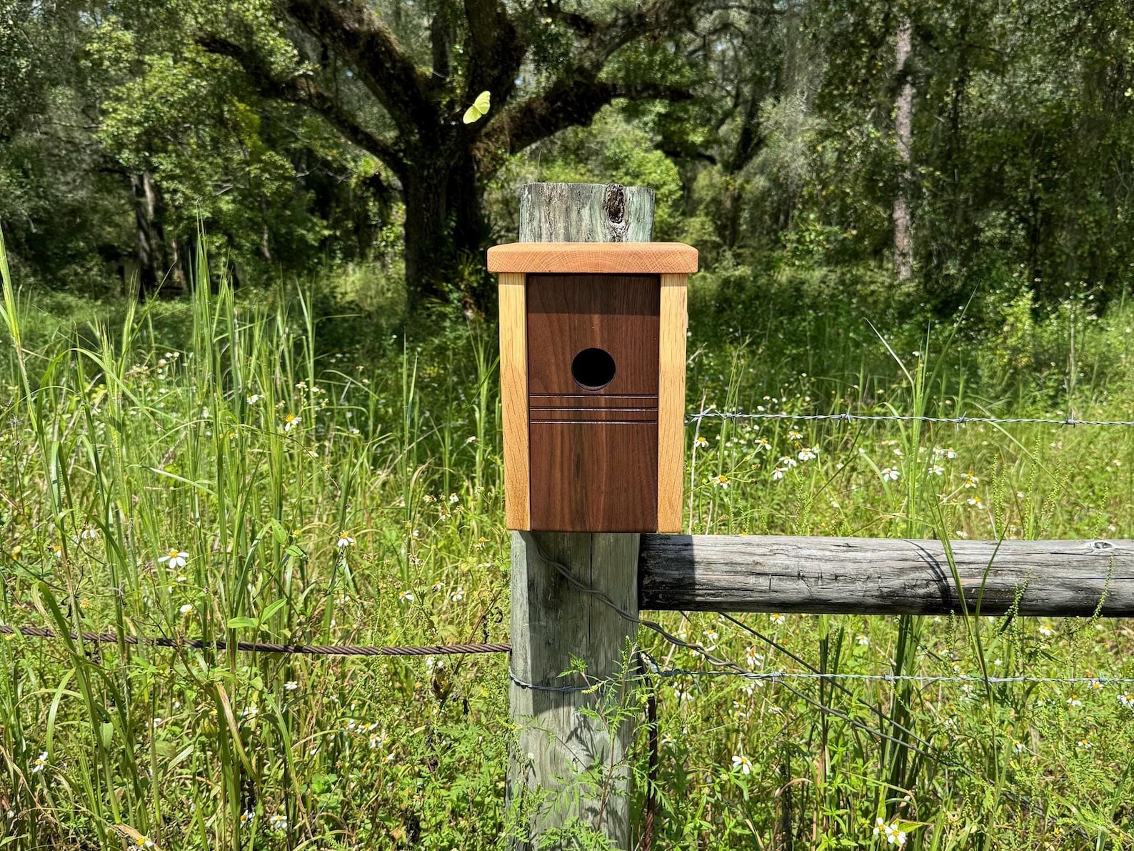Mid-century Modern Birdhouse, Reclaimed Oak and Walnut, Handcrafted ...