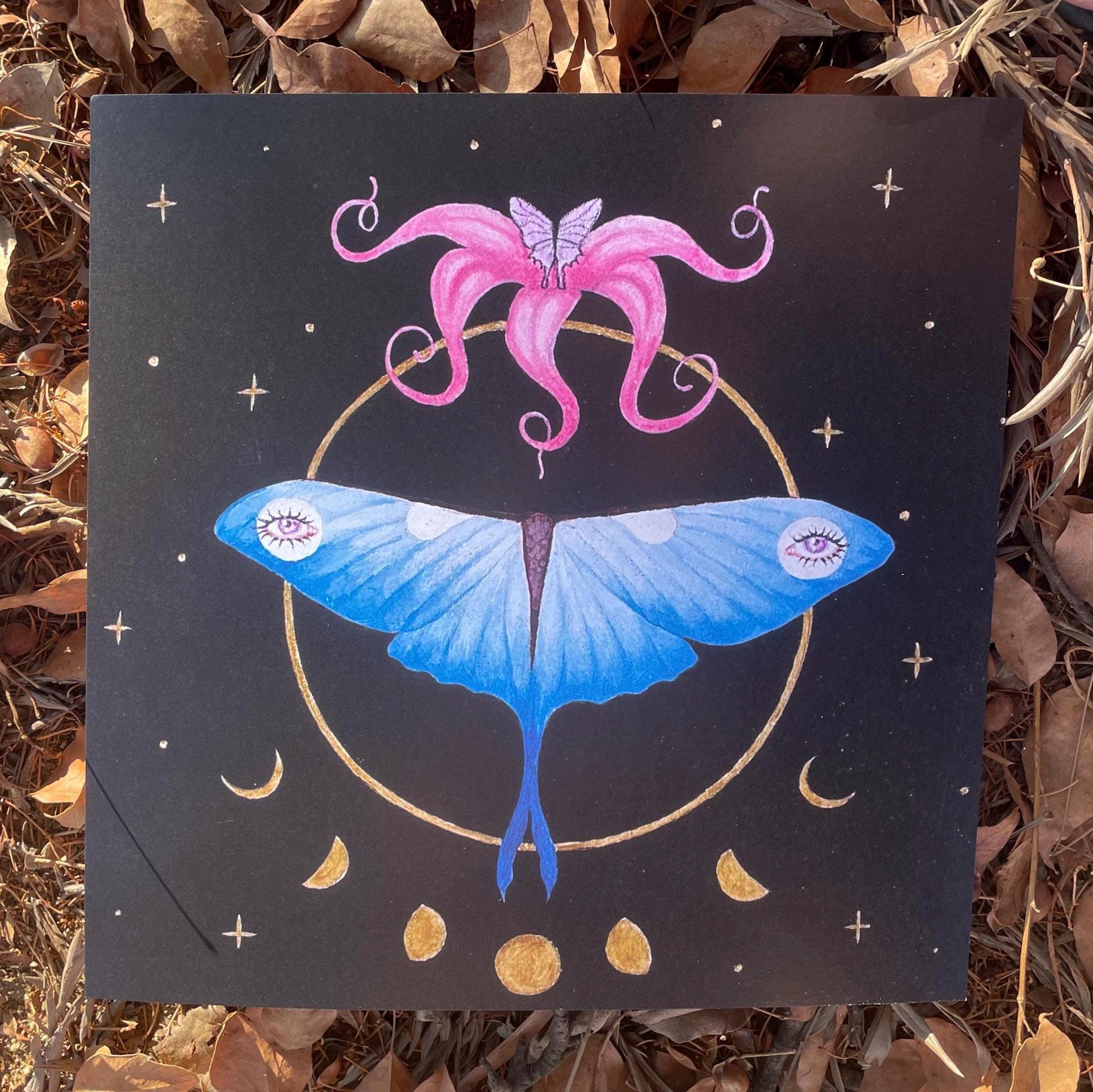 Moth Art Print - Etsy