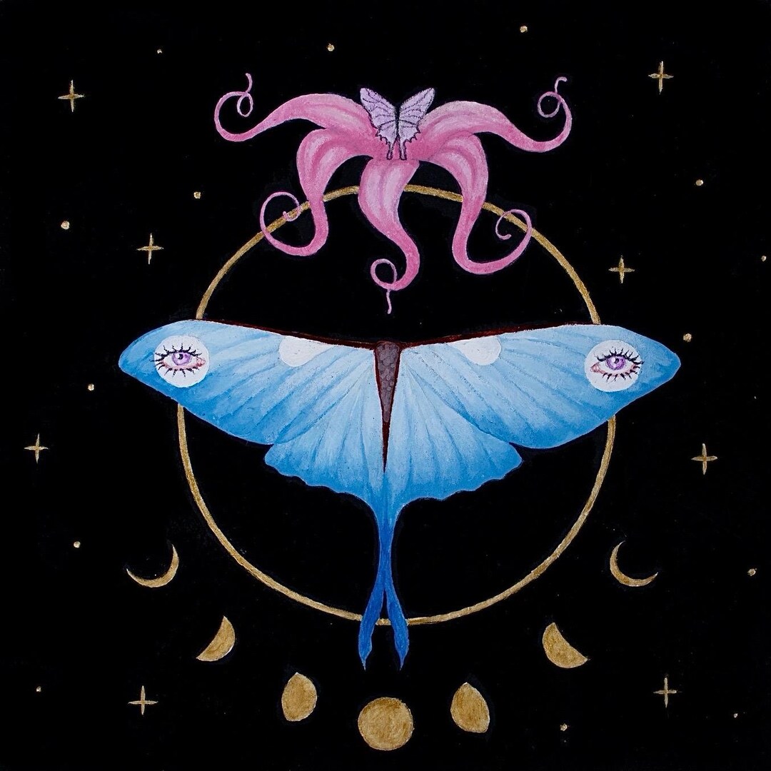 Moth Art Print - Etsy