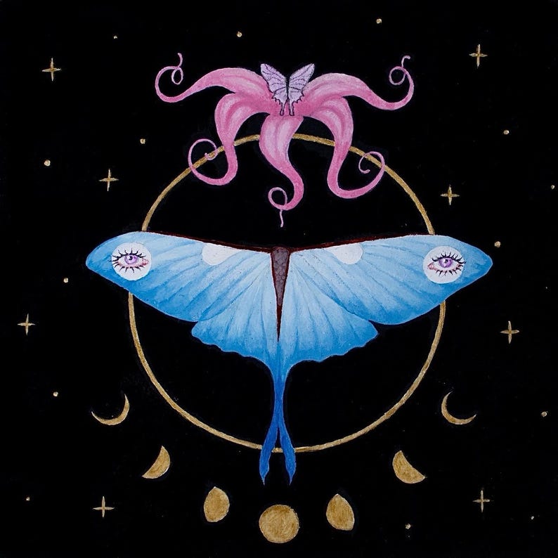 Moth Art Print - Etsy
