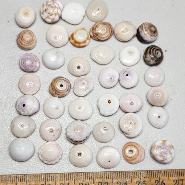 Puka Shells - Etsy