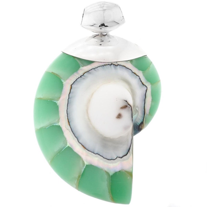 2 3/8" Cool Turquoise Green Open Nautilus Shell 925 Sterling Silver ...