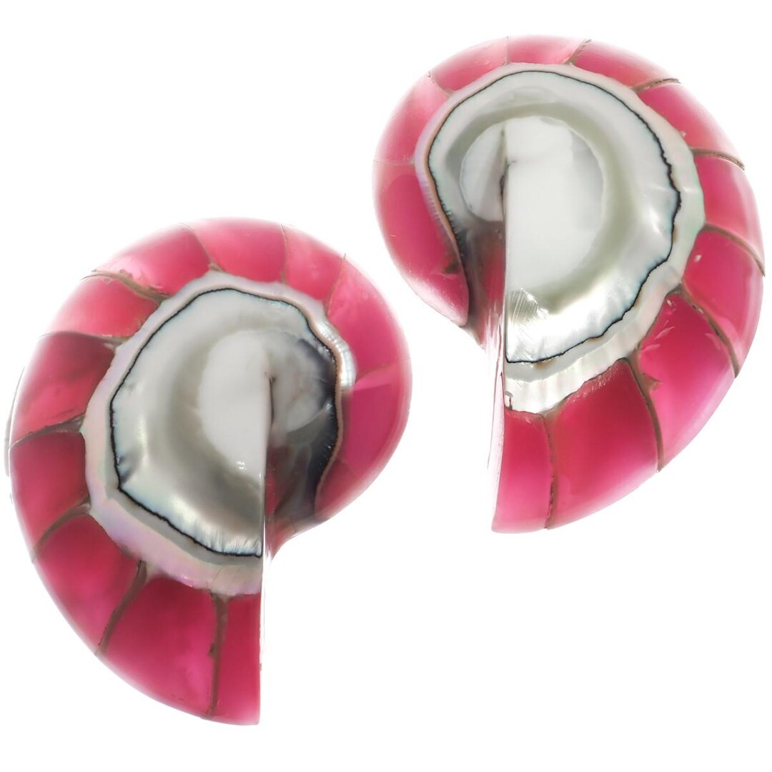 Exposed Chamber Nautilus Shell Raspberry Pink Bead Pair Cabochon,1 1/4 ...