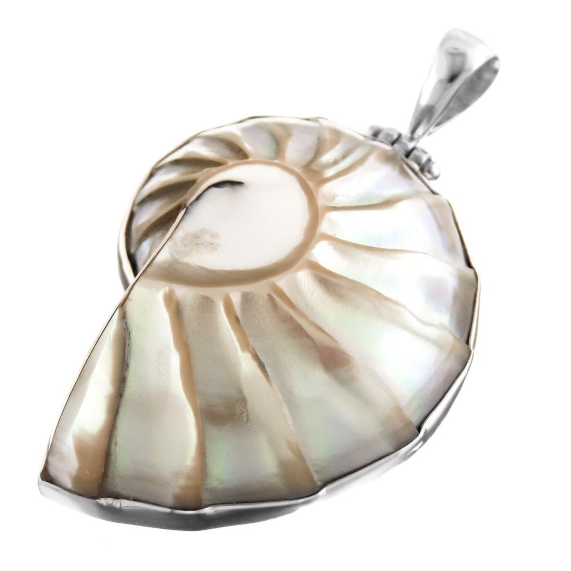2 3/8" Fifi Rose Paisley Nautilus Shell 925 Sterling Silver Pendant - Etsy