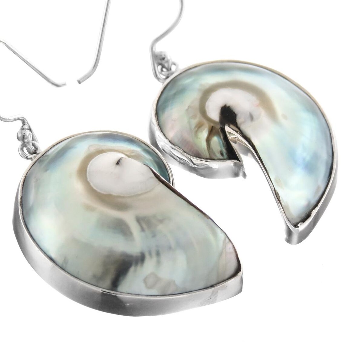 1 1/4 Iridescent Blue Nautilus Shell Sterling Silver | Etsy