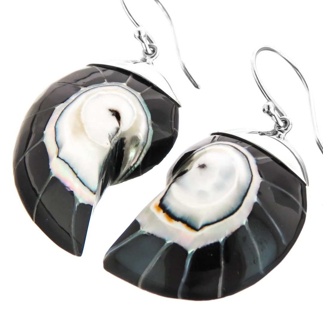 1 1/4 Black Nautilus Shell 925 Sterling Silver Earrings - Etsy
