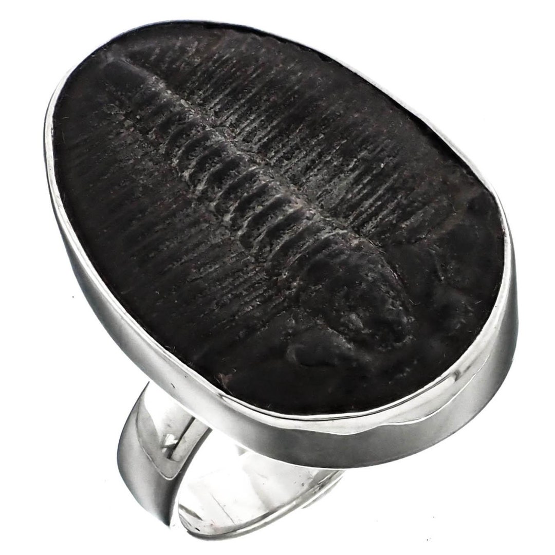 7/8" Stunning Full Face! Utah Trilobite 925 Sterling Silver Adjustable ...