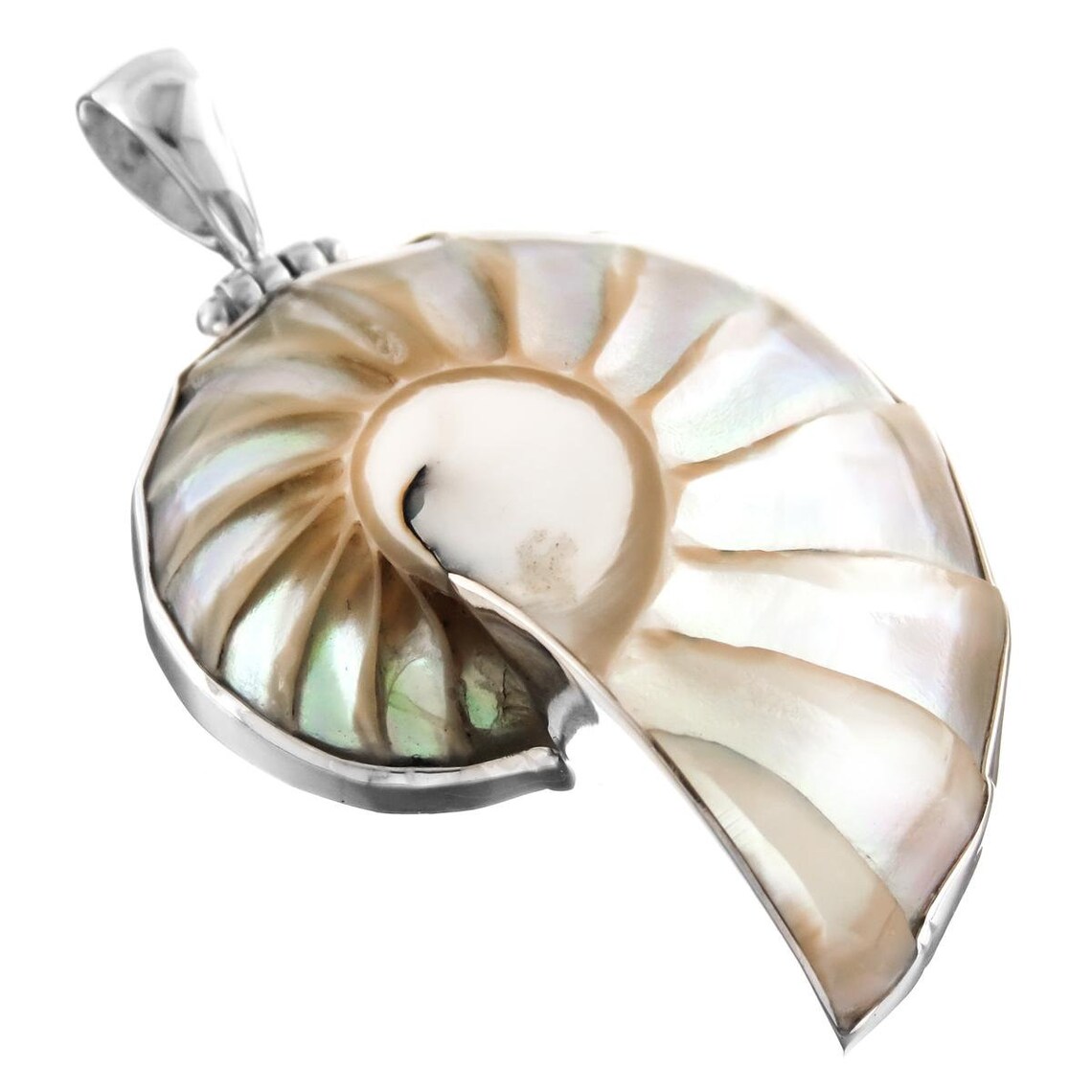 2 3/8" Fifi Rose Paisley Nautilus Shell 925 Sterling Silver Pendant - Etsy