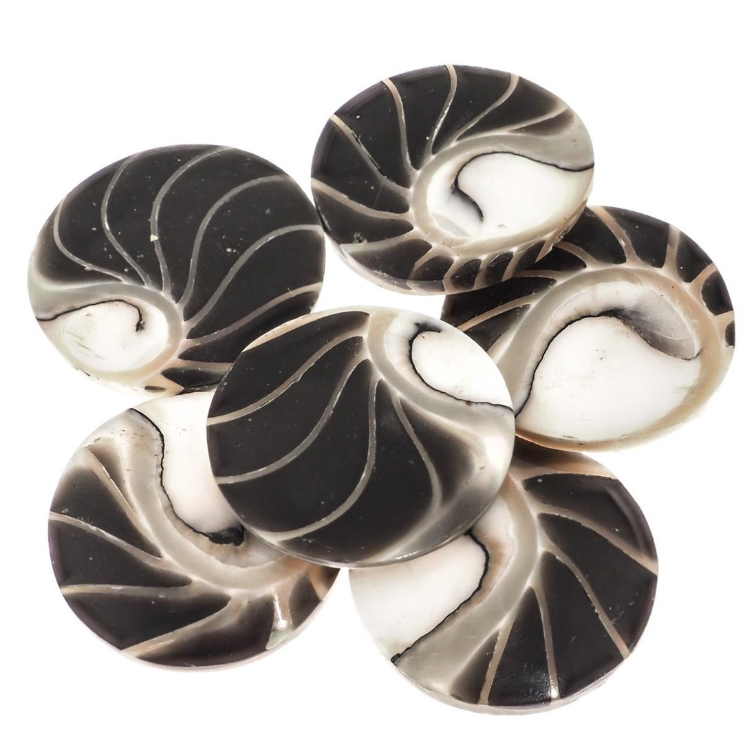 Genuine Exposed Chamber Nautilus Shell Black Bead Cab Cabochon, 1 1/4 ...
